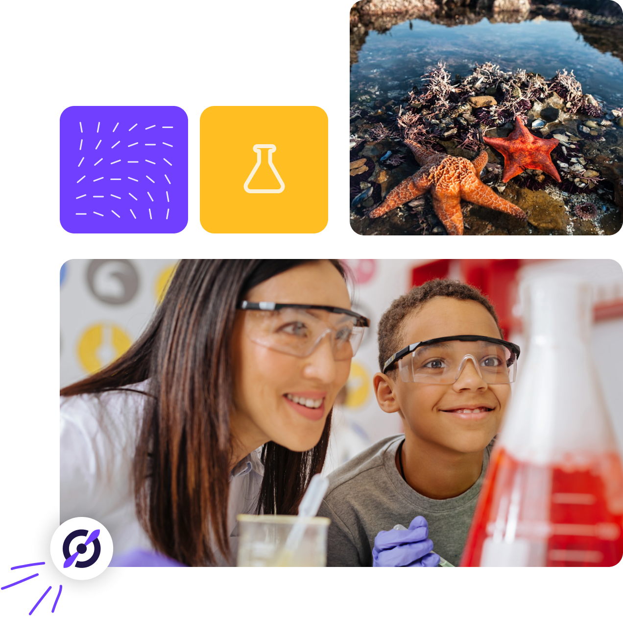 Inquiry-Based Science Booster Packs | Standards-Aligned Science